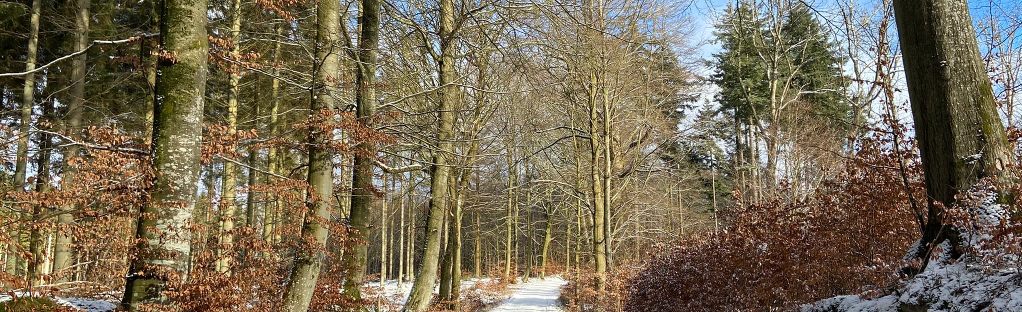 Bidstrup Forest White Mountain Bike Trail: 18 foto's - Seeland ...