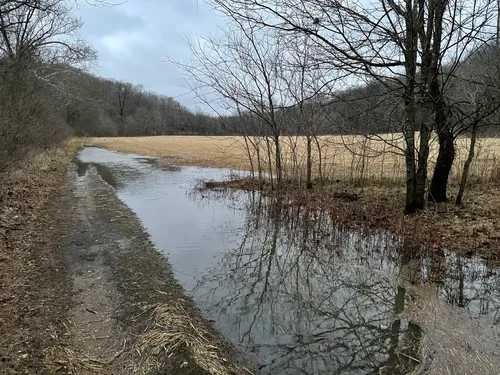 Best Hikes and Trails in Weldon Spring Conservation Area | AllTrails