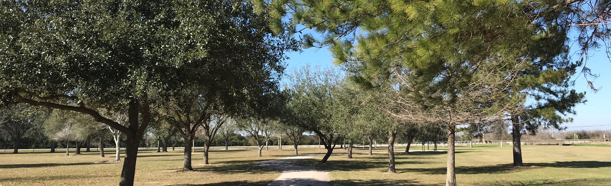 Zube Park Asphalt Trail: 71 Reviews, Map - Texas | AllTrails