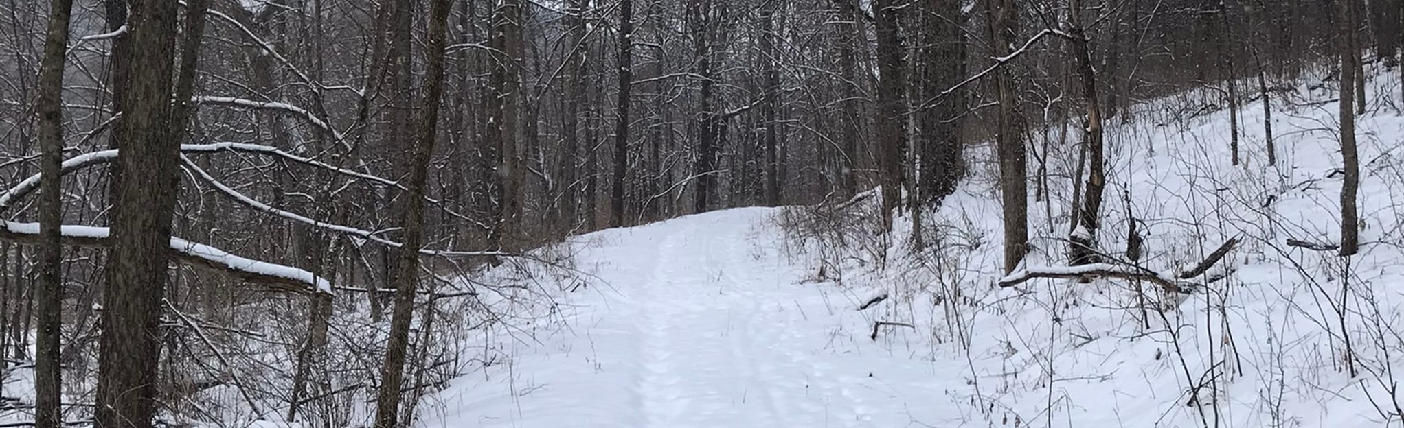 Yucatan State Wildlife Management Trail, Minnesota - 3 Reviews, Map ...