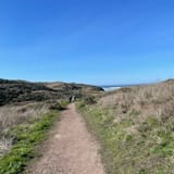 Kehoe Beach Trail, California - 257 Reviews, Map | AllTrails
