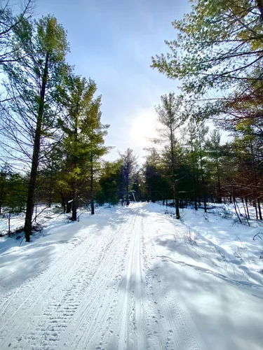 Best Hikes and Trails in Georgian Nordic Activity Centre | AllTrails