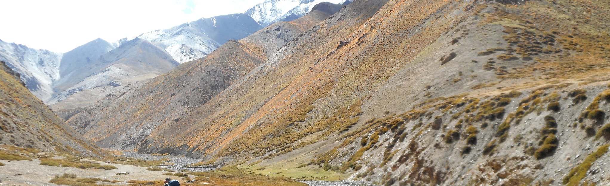 Wanla - Chilling: 2 Reviews, Map - Ladakh, India | AllTrails