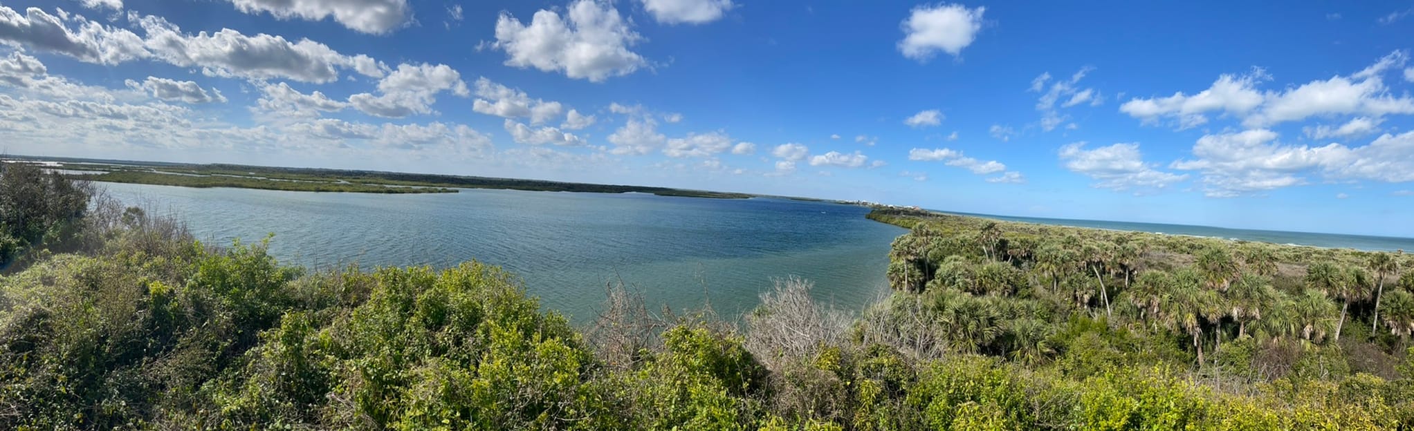 Turtle Mound Trail, Florida - 96 Reviews, Map | AllTrails