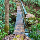 Obed Wild and Scenic River: Nemo Bridge to Devil's Breakfast Table ...