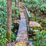 Obed Wild and Scenic River: Nemo Bridge to Devil's Breakfast Table ...