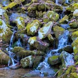 Obed Wild and Scenic River: Nemo Bridge to Devil's Breakfast Table ...