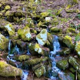 Obed Wild and Scenic River: Nemo Bridge to Devil's Breakfast Table ...