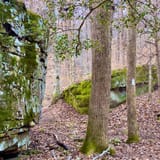 Obed Wild and Scenic River: Nemo Bridge to Devil's Breakfast Table ...