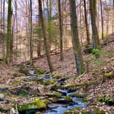 Obed Wild and Scenic River: Nemo Bridge to Devil's Breakfast Table ...