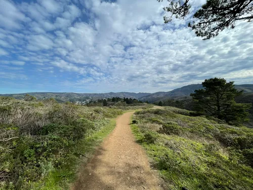 Best Hikes and Trails in Pedro Point Headlands | AllTrails