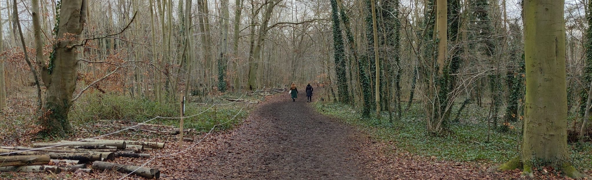 Magog Down and Wandlebury Circular: 54 Reviews, Map - Cambridgeshire ...