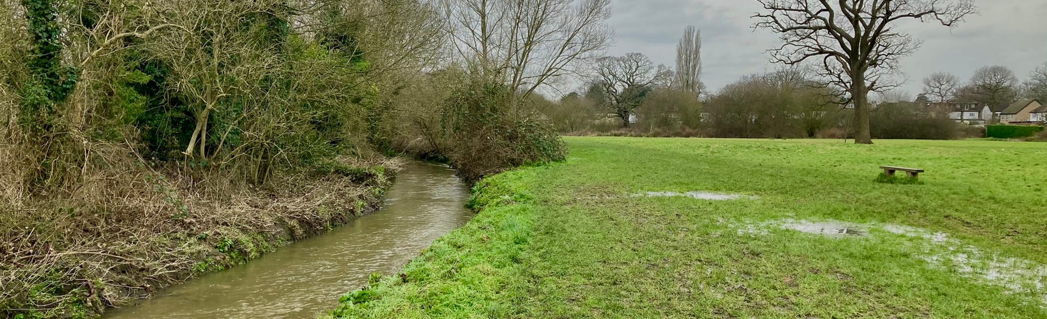 Ruislip and Ruislip Woods Circular: 127 Reviews, Map - London, England ...