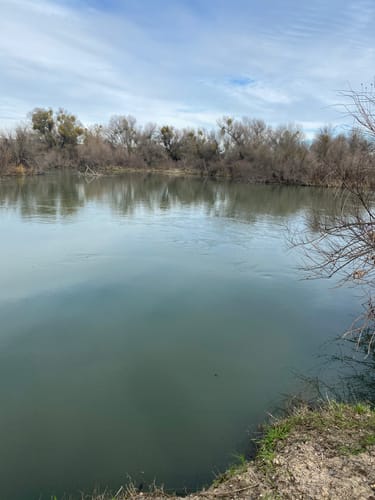 Best Hikes and Trails in Riverbottom Park | AllTrails