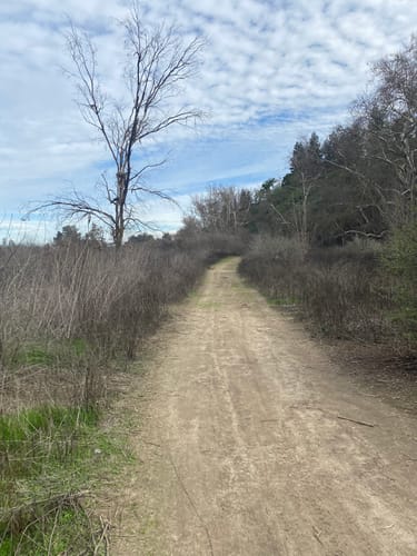 Best Hikes and Trails in Riverbottom Park | AllTrails