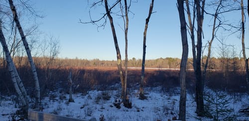 Best Hikes and Trails in Rines Wetlands and Wildlife Preserve | AllTrails