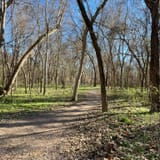 Brazos River Trail, Texas - 210 Reviews, Map | AllTrails