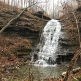 King's Bluff Loop Trail, Arkansas - 334 Reviews, Map | AllTrails