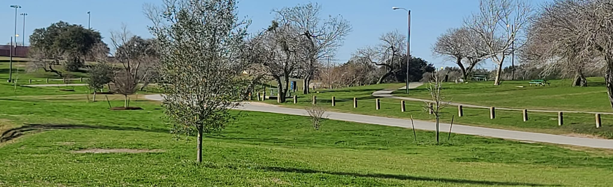 West Guth Park Outer Loop, Texas - 131 Reviews, Map | AllTrails
