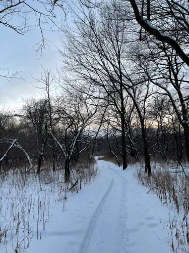 2023 Best Walking Trails in George Wyth State Park | AllTrails