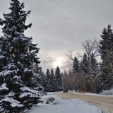 Rundle Park Riverside Trail, Alberta, Canada - 217 Reviews, Map | AllTrails
