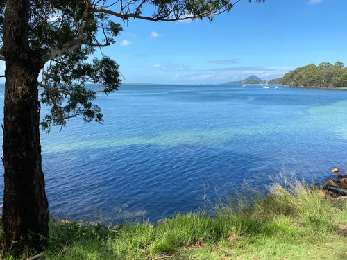 10 Best Trails and Hikes in Nelson Bay | AllTrails