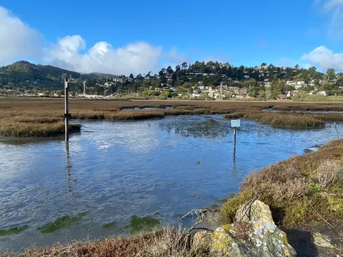 Best Road Biking Trails in Mill Valley | AllTrails