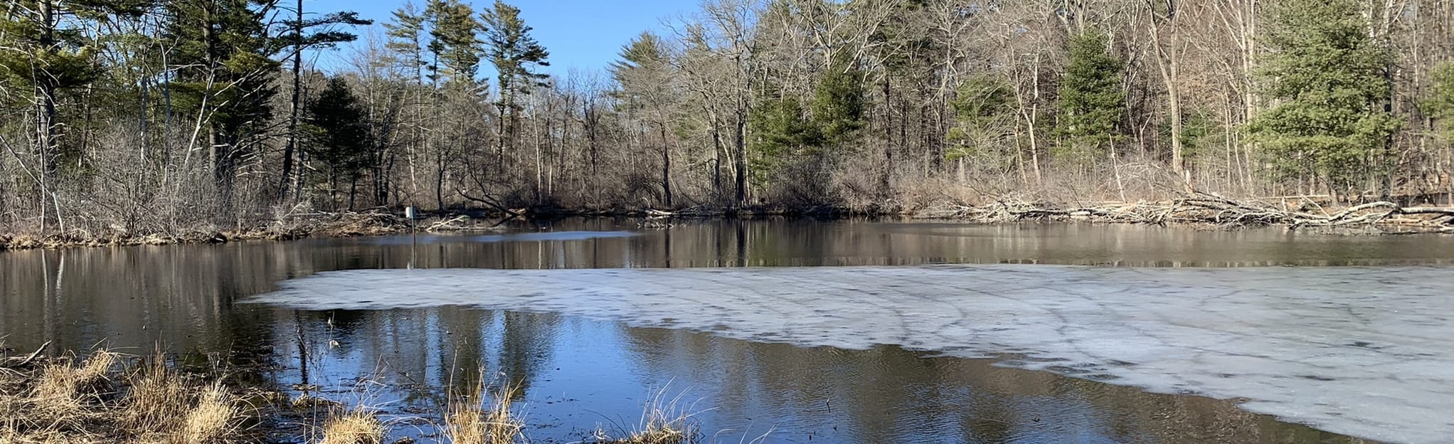 Moon Hill Loop via Bay Circuit Trail | Map, Guide - Massachusetts ...
