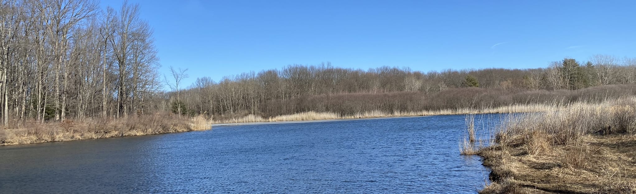 Pond, Forest Edge, and Dune Trail Loop: 45 Reviews, Map - New York ...