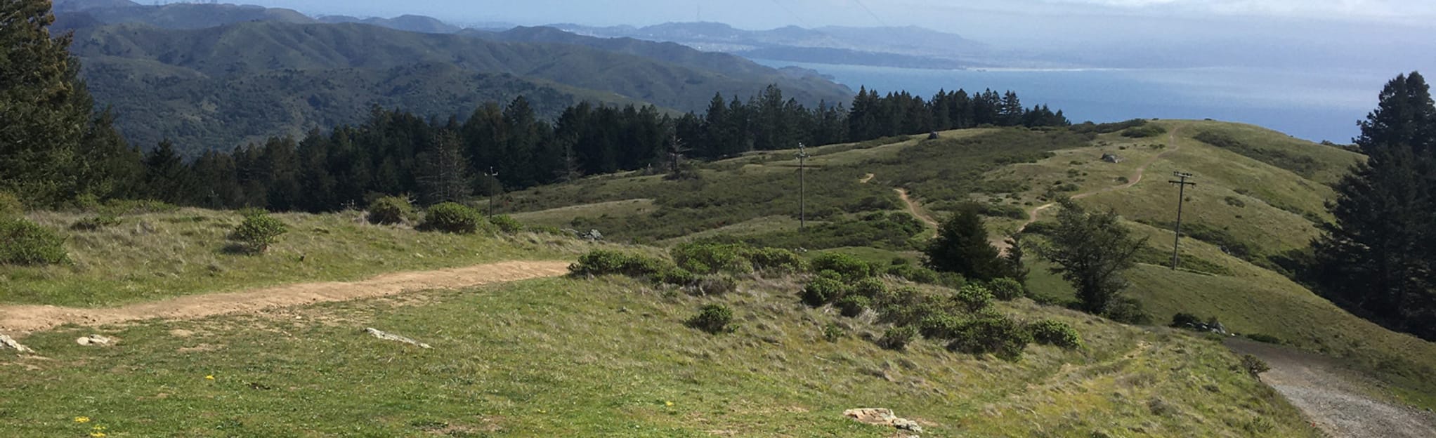 Bay Area Ridge Trail: Mt Tamalpais State Park and Dias Ridge Trail ...