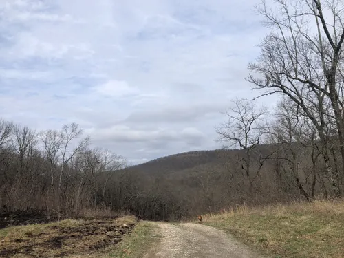 Best Hikes and Trails in Cookson Hills State Game Refuge | AllTrails