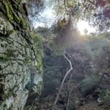 Tenaja Canyon via Tenaja Trail, California - 189 Reviews, Map | AllTrails