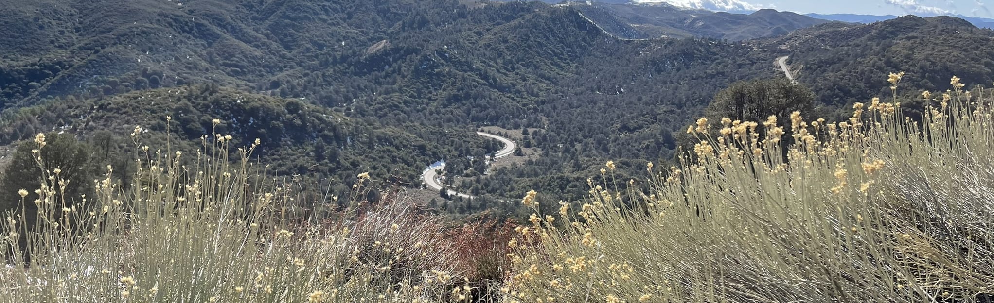 Pine Mountain Ridge Road, California - 23 Reviews, Map | AllTrails