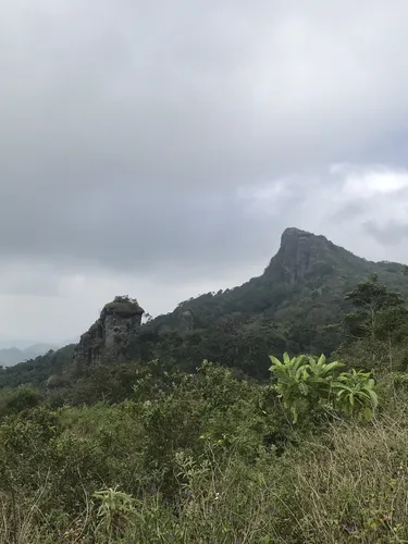 10 Best Hikes and Trails in Mount Palay - Palay National Park | AllTrails