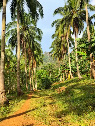 Best Hard Trails in Mount Palay - Palay National Park | AllTrails