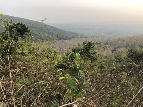 10 Best Forest Trails in Odisha | AllTrails