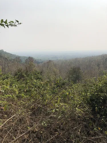 10 Best Forest Trails in Odisha | AllTrails