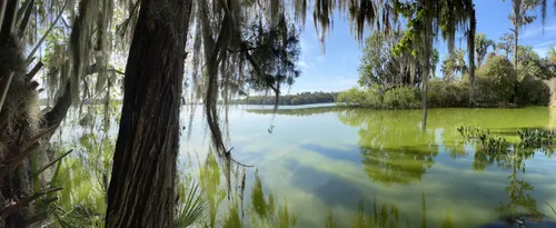 Best Hikes and Trails in Bivens Arm Nature Park | AllTrails