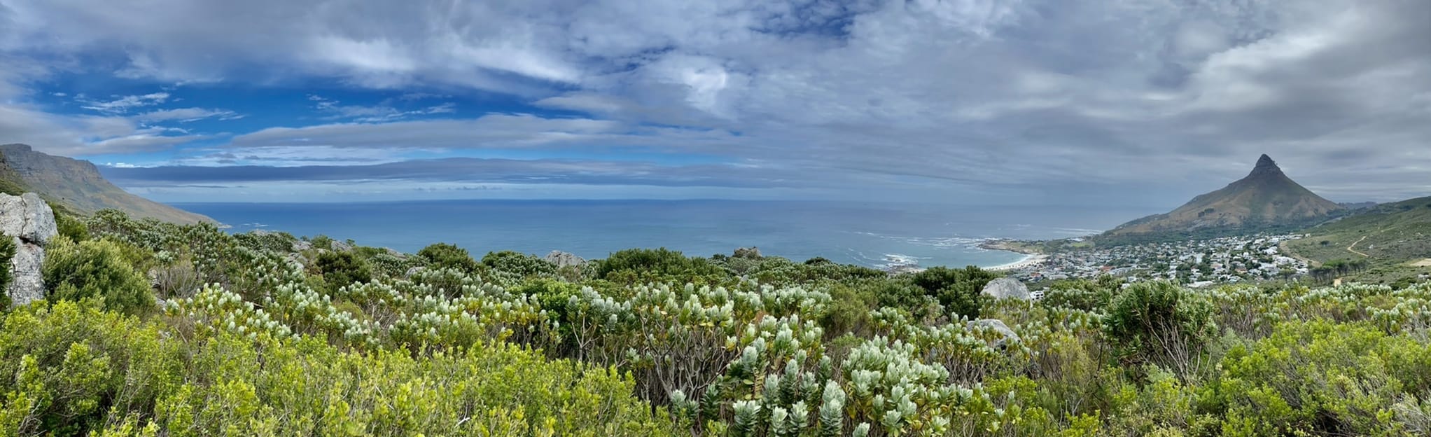 Woody Ravine: 308 foto - Western Cape, South Africa | AllTrails