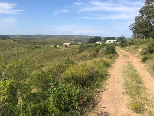 Best Hikes and Trails in Mkhambathi Nature Reserve | AllTrails