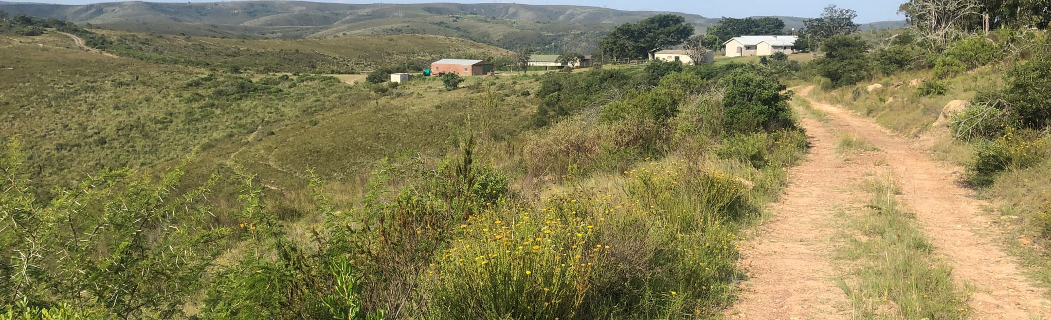 Zuurberg Hiking Trail: 21 Reviews, Map - Eastern Cape, South Africa ...