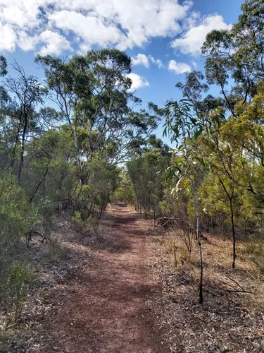 10 Best Hikes and Trails in Onkaparinga River National Park | AllTrails