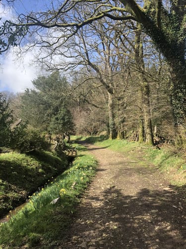 Best 10 Hikes and Trails in Blackdown Hills Area of Outstanding Natural ...