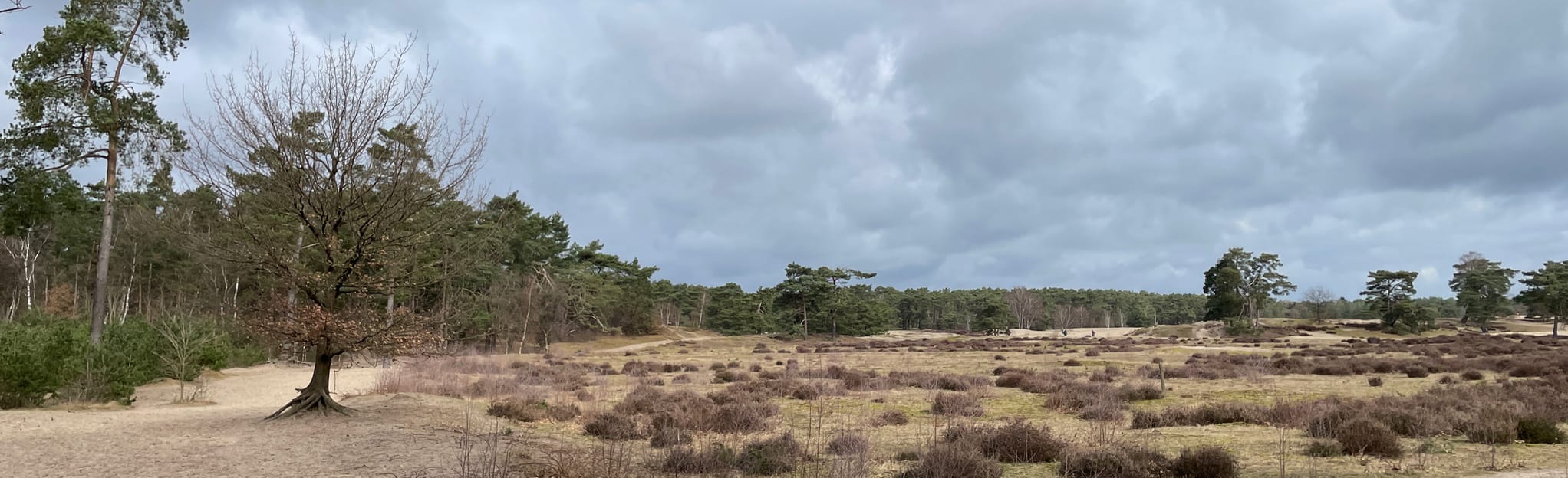 Trage Tocht: Den Dolder: 16 Reviews, Map - Utrecht, Netherlands | AllTrails