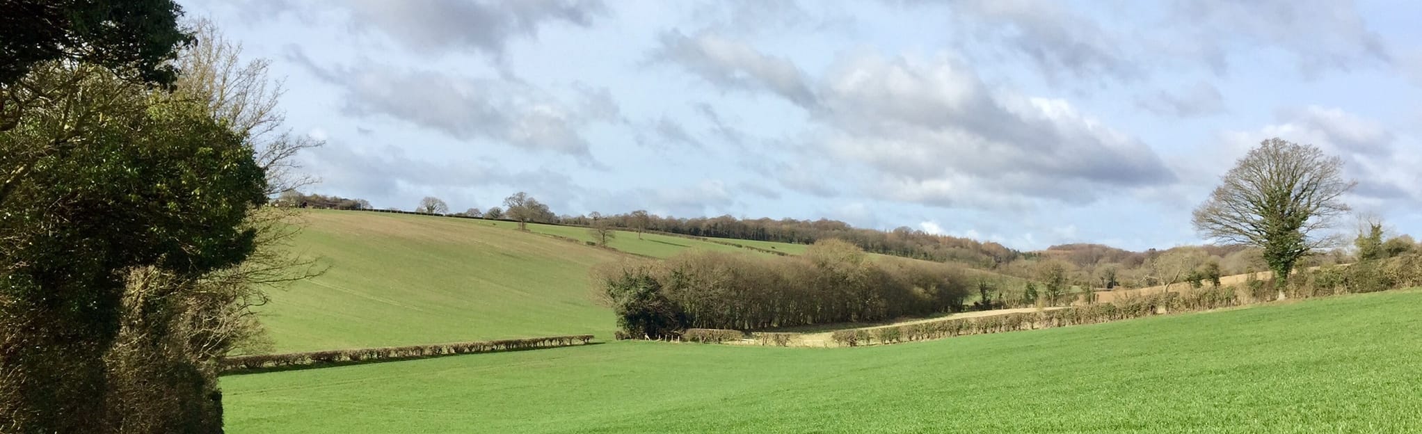 Chartridge to St Leonards and Cholesbury: 34 foto's - Buckinghamshire ...