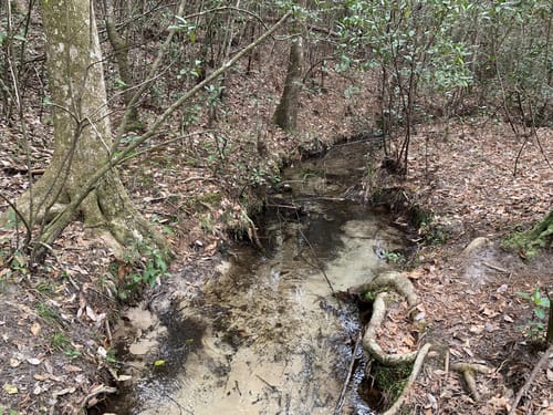 Historic Blakeley State Park: Die besten leichten Routen in 2023 ...