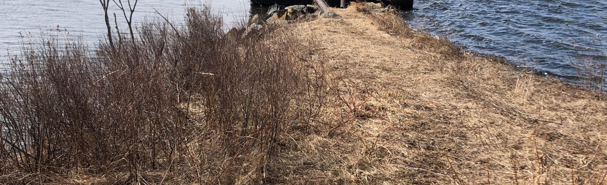 Old Halifax Rehab Centre Loop, Nova Scotia, Canada - 16 Reviews, Map ...