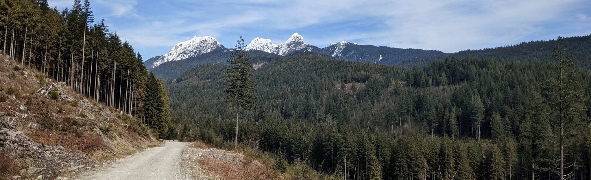 Katherine Lake Loop: 254 Fotos - British Columbia, Kanada | AllTrails