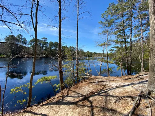 10 Best Trails and Hikes in Virginia Beach | AllTrails