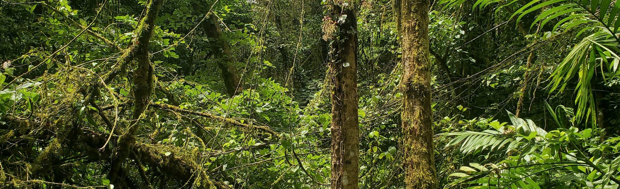 Bavaria - Canal - La Mosquitia: 28 foto's - Matagalpa, Nicaragua ...